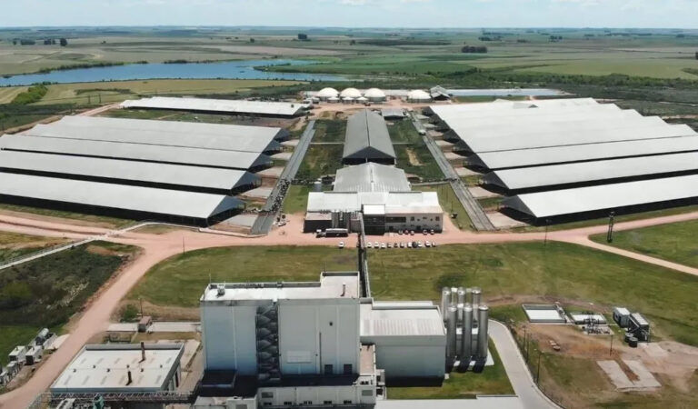 Trafigura signs offtake agreement for advanced sustainable aviation ...